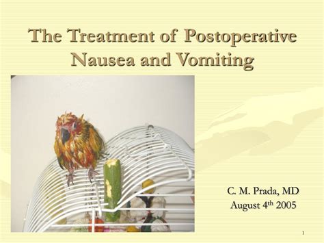 PPT The Treatment Of Postoperative Nausea And Vomiting PowerPoint