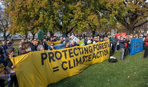Tasmanian Activists Stage Mass Rally Against Environmental Destruction