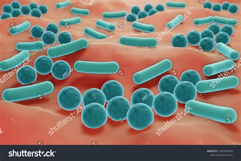 Good Bacteria For Skin 1 820 รายการ ภาพ ภาพสต็อกและเวกเตอร์ Shutterstock