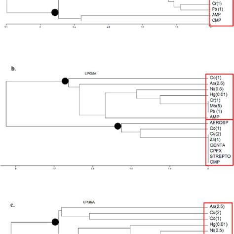 hierarchical cluster analysis upgma based on resistance to heavy