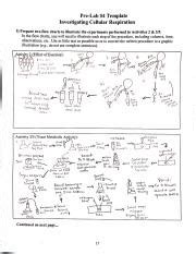 Pre Lab 4 1 Pdf Course Hero