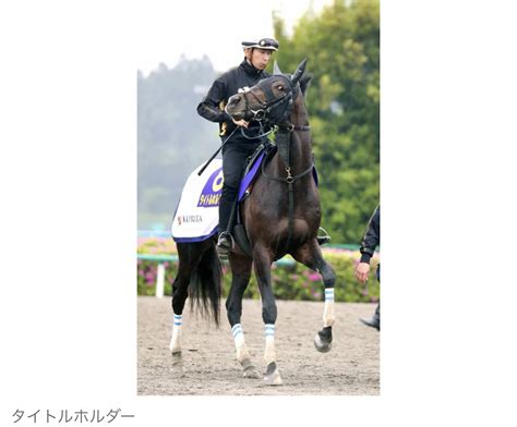【競馬】天皇賞・春でレース中に競走を中止した「タイトルホルダー」 検査の結果は異常なし News Everyday