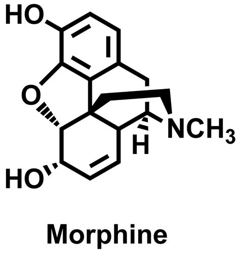 Morphine Structure National Institute Of General Medical Sciences