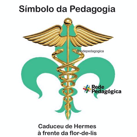 Corujinha Simbolo Da Pedagogia