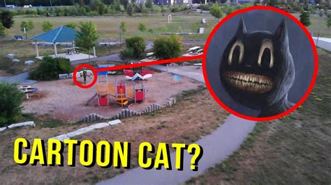 Drone Catches Cartoon Cat At Haunted Park We Found Him Youtube