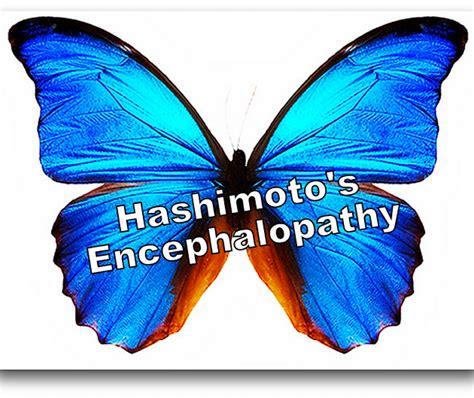 Eeg And Encephalopathy