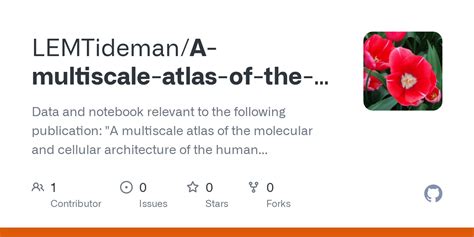 GitHub LEMTideman A Multiscale Atlas Of The Molecular And Cellular