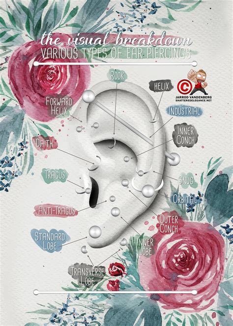 Ear Piercings Chart