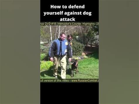 How To Defend Yourself Against Dog Attack - YouTube