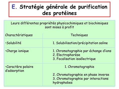 PPT Chapitre Techniques de purification des protéines Isolement des protéines A Choix dune