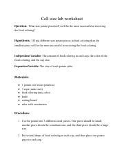 Cell Size Lab Worksheet Pdf Cell Size Lab Worksheet Question What Size Potato Piece Cell Will