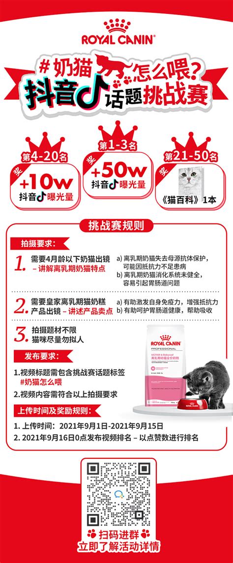 奶猫怎么喂