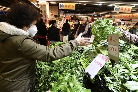 昨內地進口蔬菜約788萬公斤 冰鮮家禽及肉類恢復7成 社會事