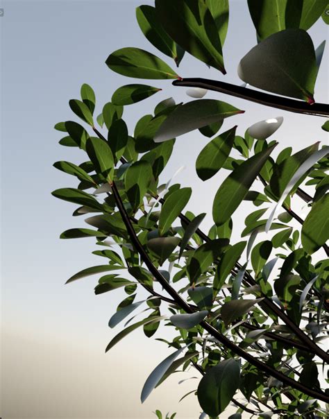 How To Setup Thin Translucent Material In Cycles For Grass And Foliage Lighting And