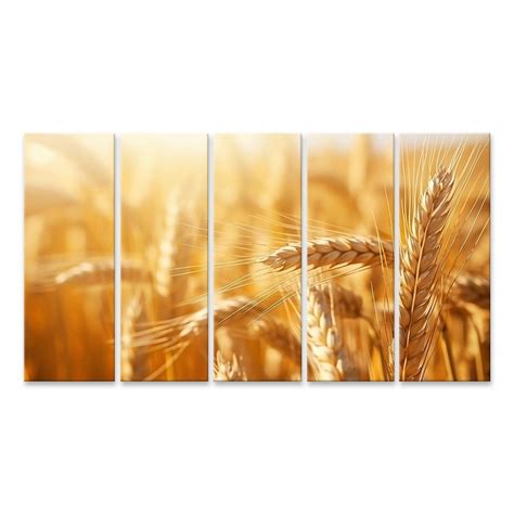 Islandburner Leinwandbild Nahaufnahme Reifen Goldenen Weizen Ähren Feld Sommertag Sonn Bilder