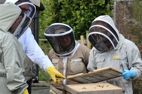 Beekeepers Of Barnsley Barnsley Beekeepers