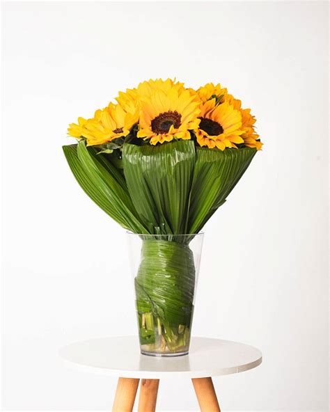 BuquÊ De Girassol Afonso Pena Flores