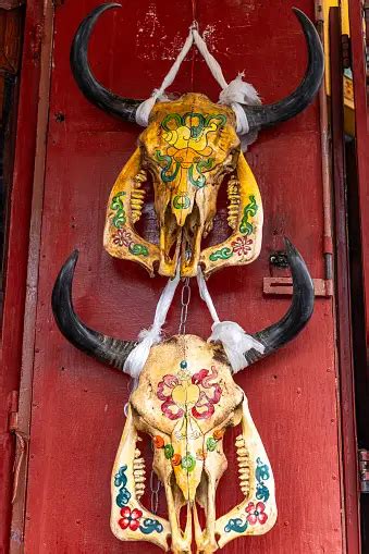 Xizang Pictures Download Free Images On Unsplash