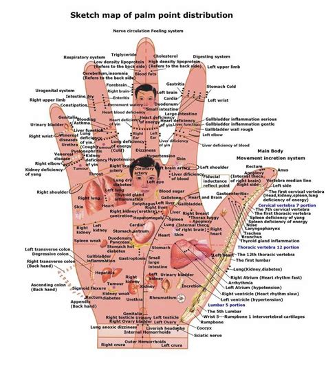 Reflexology Of The Hand Hand Reflexology Acupressure Points