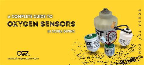 A Complete Guide To Oxygen Sensors In Scuba Diving Dive Gear Zone