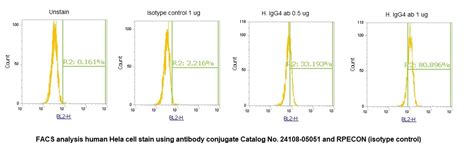 Human Immunoglobulin G IgG AssayLite Antibody RPE Conjugate Assaypro