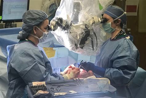 Current Curriculum Plastic Reconstructive Hand And Burn Surgery