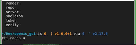 Text Overlays In Local Terminal Issue TerminalStudio Xterm Dart GitHub