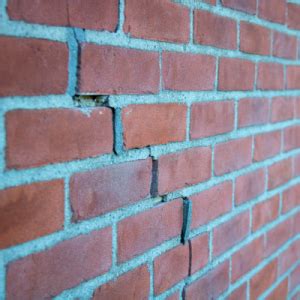 Compensation For Tree Root Damage BLB Solicitors