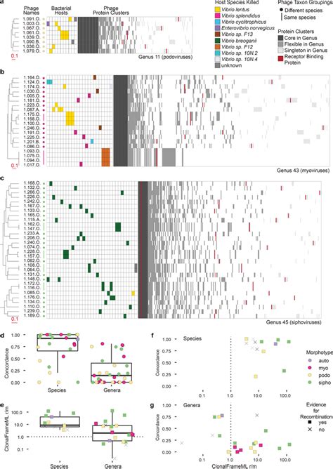Host Range Overlap Is High Within Phage Vic Species And Low Within