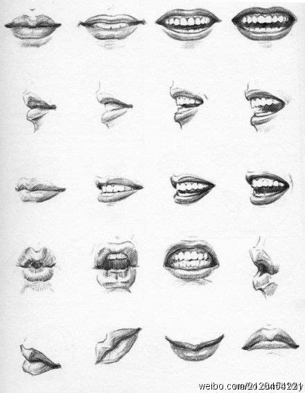 How To Draw A Mouth With Teeth Each Row Of Teeth Is Covered With Soft