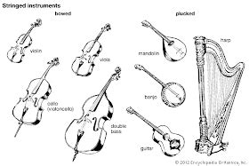 Click On TYPES OF INSTRUMENTS STRINGS