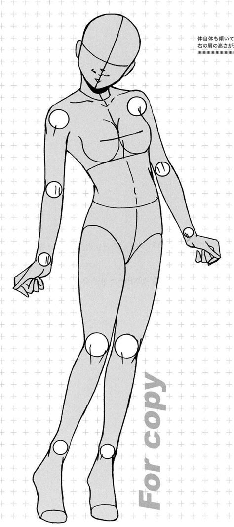 Base Model 15 By Fvsj On Deviantart Art Reference Poses Drawings