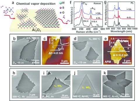 Engineering The Flake Morphology Of Ws 2 Synthesized By Cvd On A