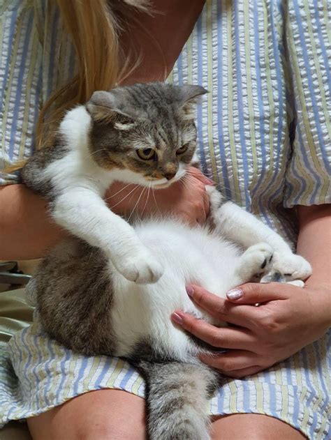 จมายเม่นเม่นและแมวพึมพัม 🦔🍑🐱さんの人気画像 ついふぁん！