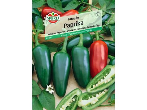 Sperli Paprika Forajido Kaufen Bei OBI