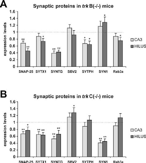 Expression Levels Of Synaptic Proteins Snap 25 Sytx1 Syntaxin 1