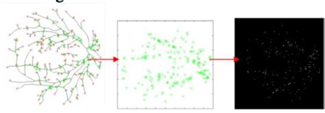 Figure 7 From Biometric System For Person Authentication Using Retinal Vascular Branching