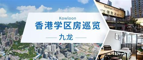香港学区房巡览 九龙 知乎