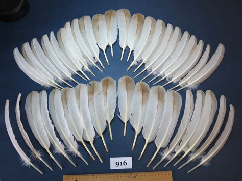 40 Pcs Turkey Feathers Wing Feathers Fly Tying Materials Real