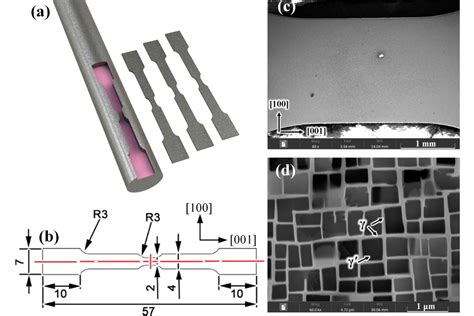 Exploring Single Crystal Superalloys The Future Of Nickel Based Materials Goldsupplier
