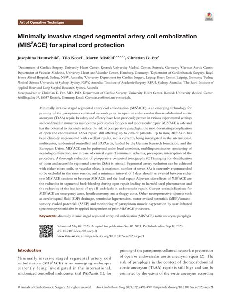 Pdf Minimally Invasive Staged Segmental Artery Coil Embolization Mis2ace For Spinal Cord
