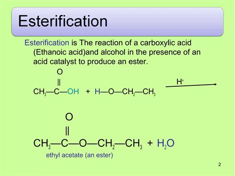 Esterification Ppt