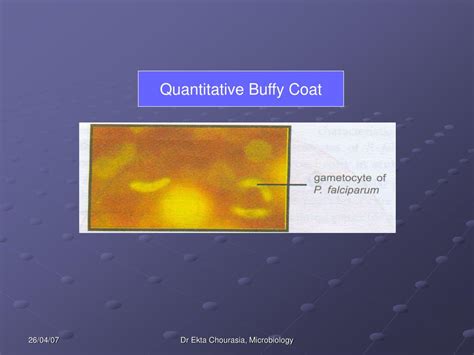 Ppt Plasmodium Powerpoint Presentation Free Download Id 4646706