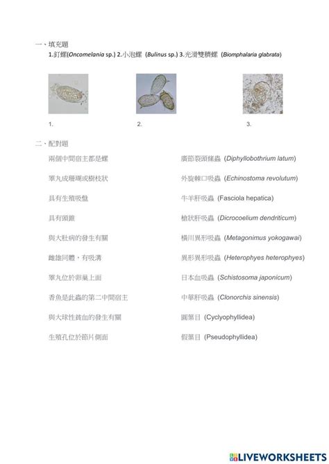 Cestode And Trematode Matching Online Exercise For Live Worksheets