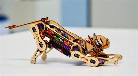 Un Kit Para Construir Nuestro Propio Gato Robótico Cultura Inquieta