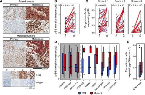 Jci Genomic Landscape Of Metastatic Breast Cancer Identifies