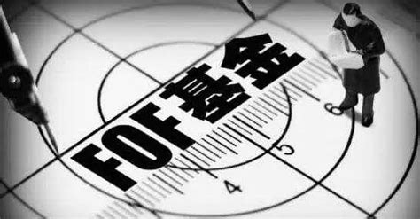 正收益占比近七成 私募fof震荡市中凸显配置价值 来源： 上海证券报今年以来，市场震荡加剧，私募fof却表现稳健。据私募排排数据统计，截至5月