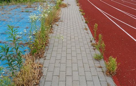 Premium Photo Blue Stadium Coverage Texture Treadmill Textured Tile
