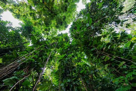 Adventure Beyond Oahu Is A Day Trip To Maui Worth It Maui Trip Guide Best Things To Do And See