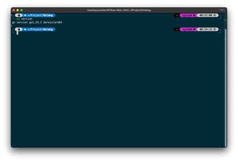 belajar golang dasar 1 pengenalan and installasi golang — santrikoding